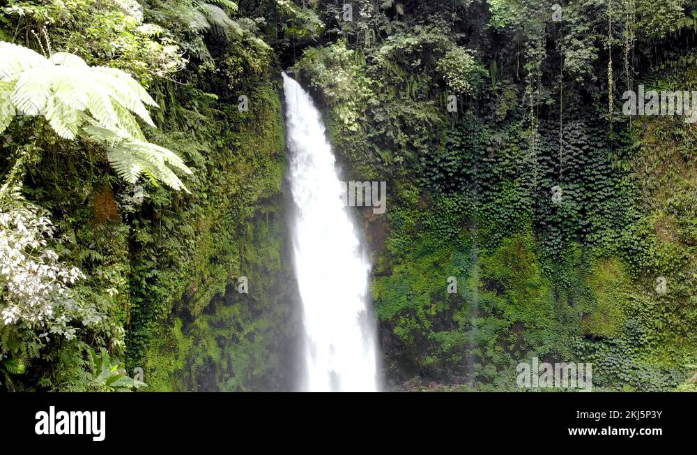 Draping trees Stock Videos & Footage - HD and 4K Video Clips - Alamy