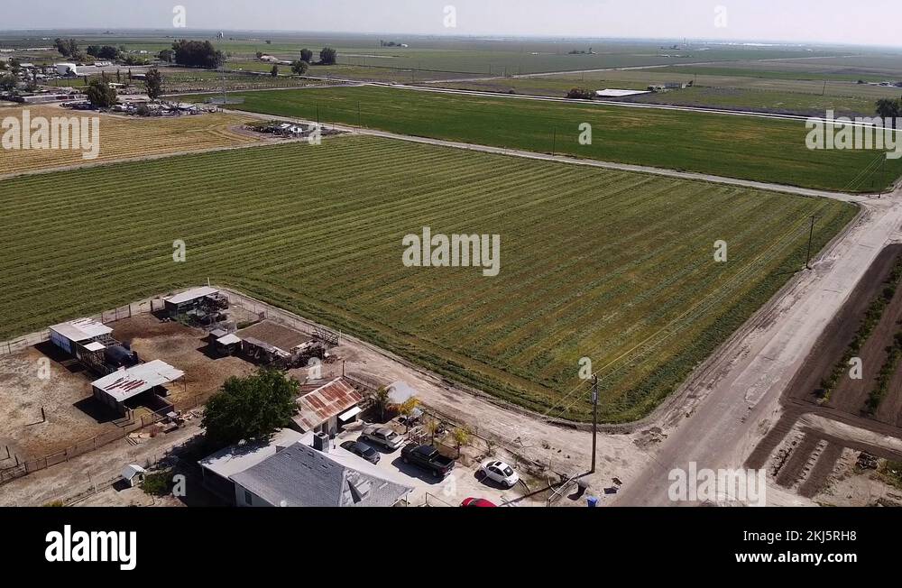 Farm ranch alfalfa Stock Videos & Footage - HD and 4K Video Clips - Alamy