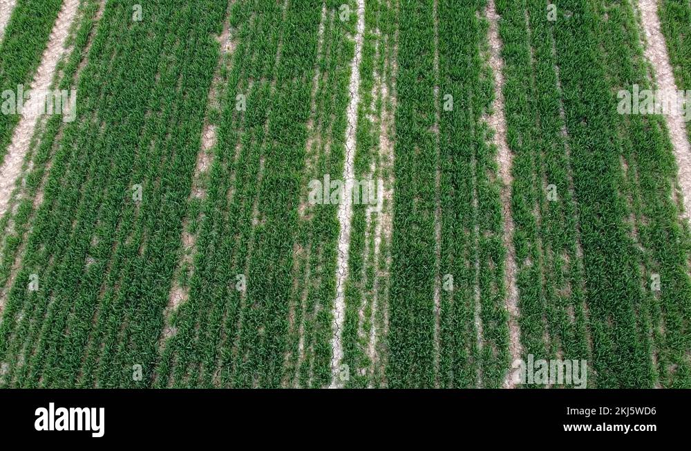 Farming path Stock Videos & Footage - HD and 4K Video Clips - Alamy