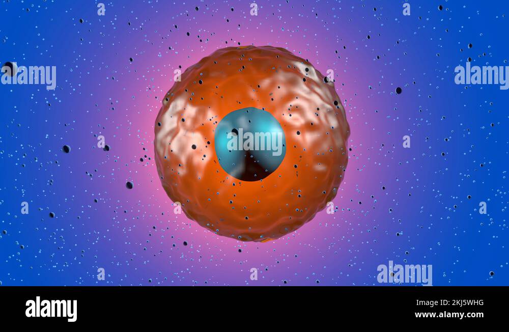 Stem cell illustration Stock Videos & Footage - HD and 4K Video Clips ...