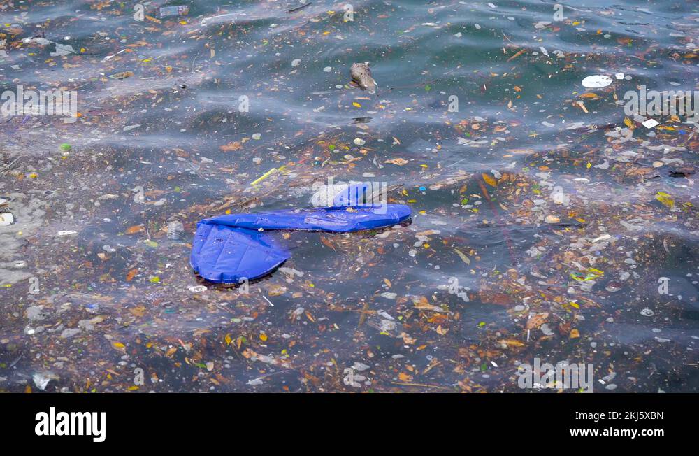 Plastic Pollution In The Worlds Oceans A Large Amount Of Debris