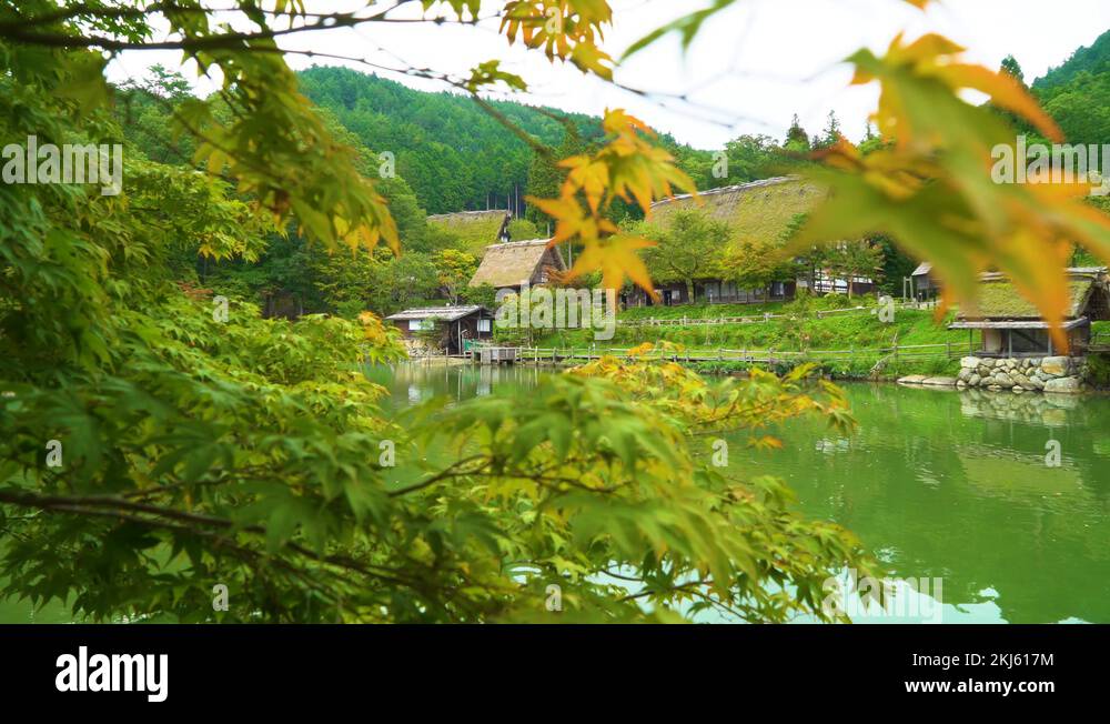 Greenery day japan Stock Videos & Footage - HD and 4K Video Clips - Alamy