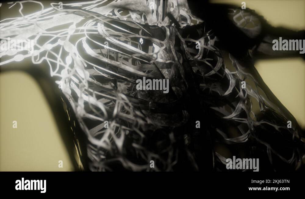 inspection of blood in the blood vessels of the circulatory system ...