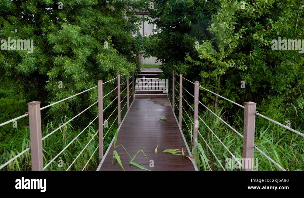 Trees river bridge footbridge Stock Videos & Footage - HD and 4K Video ...