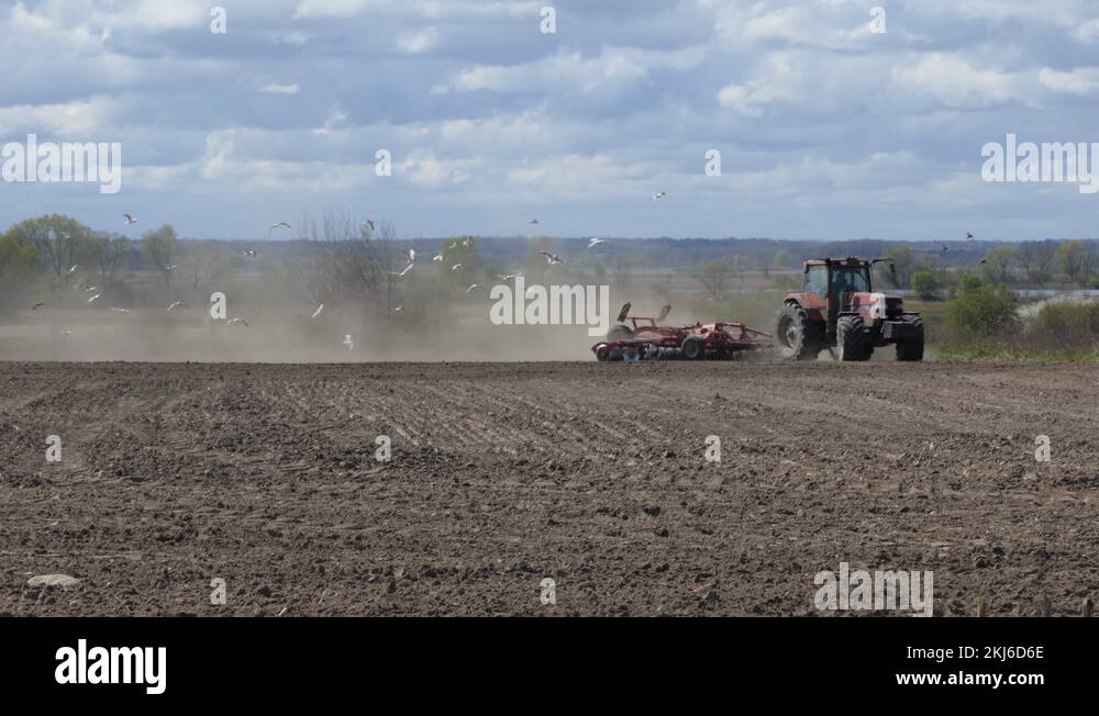 Farmer on Tractor Plowing Dusty Arid Soil. Farm Car Followed by Flock ...