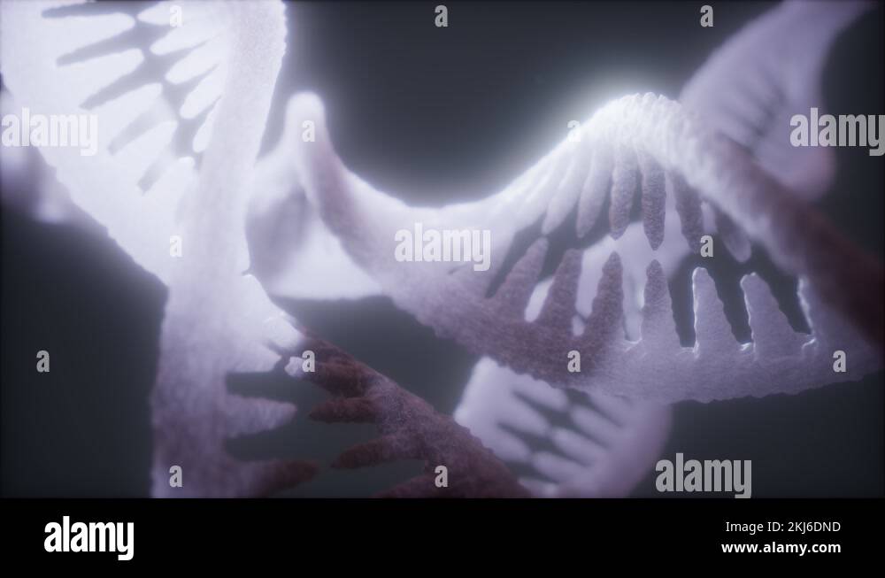 loop double helical structure of dna strand close-up animation Stock ...