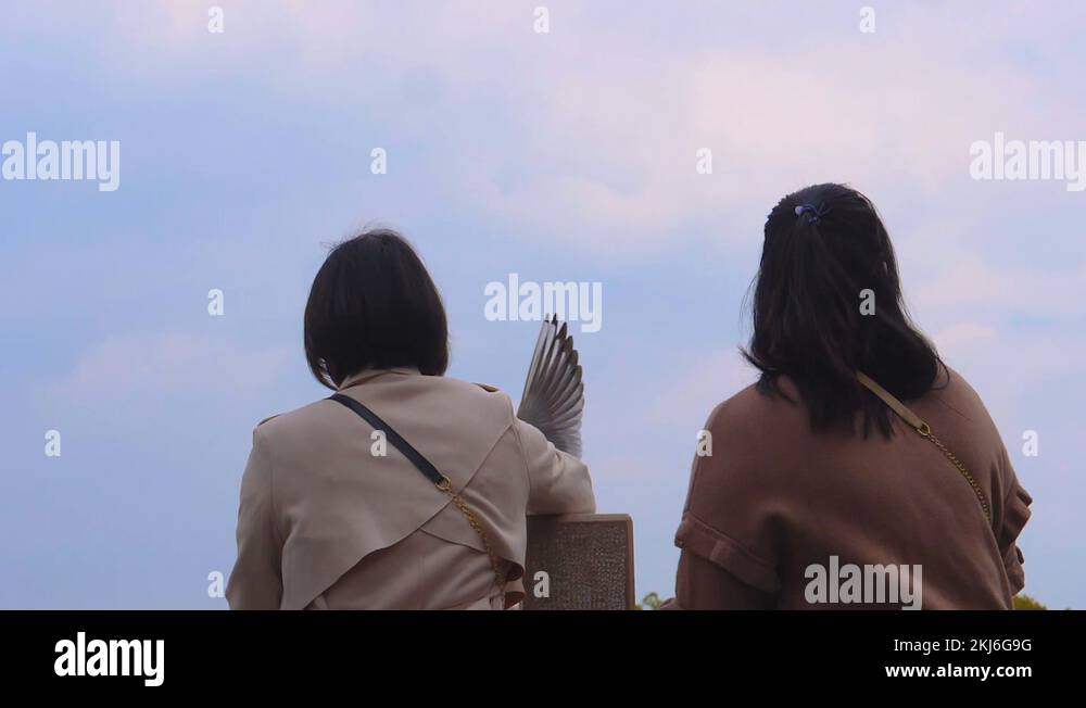 Women with birds Stock Videos & Footage - HD and 4K Video Clips - Alamy