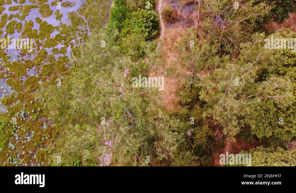 A break in the drought Stock Videos & Footage - HD and 4K Video Clips ...