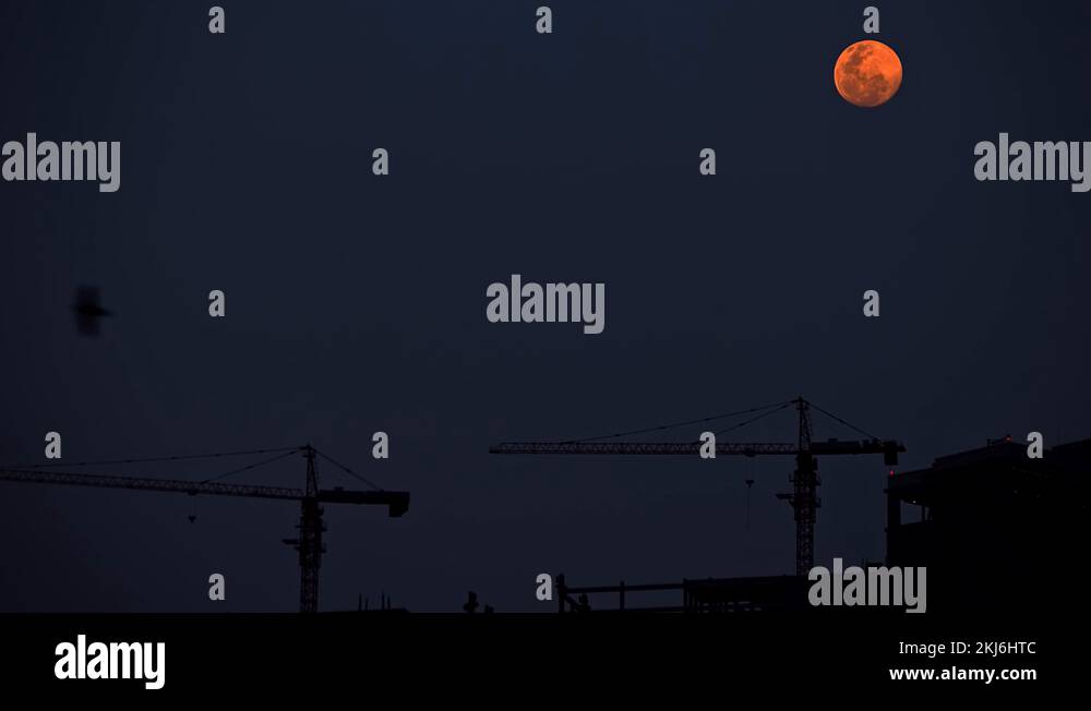 Cranes in night Stock Videos & Footage - HD and 4K Video Clips - Alamy