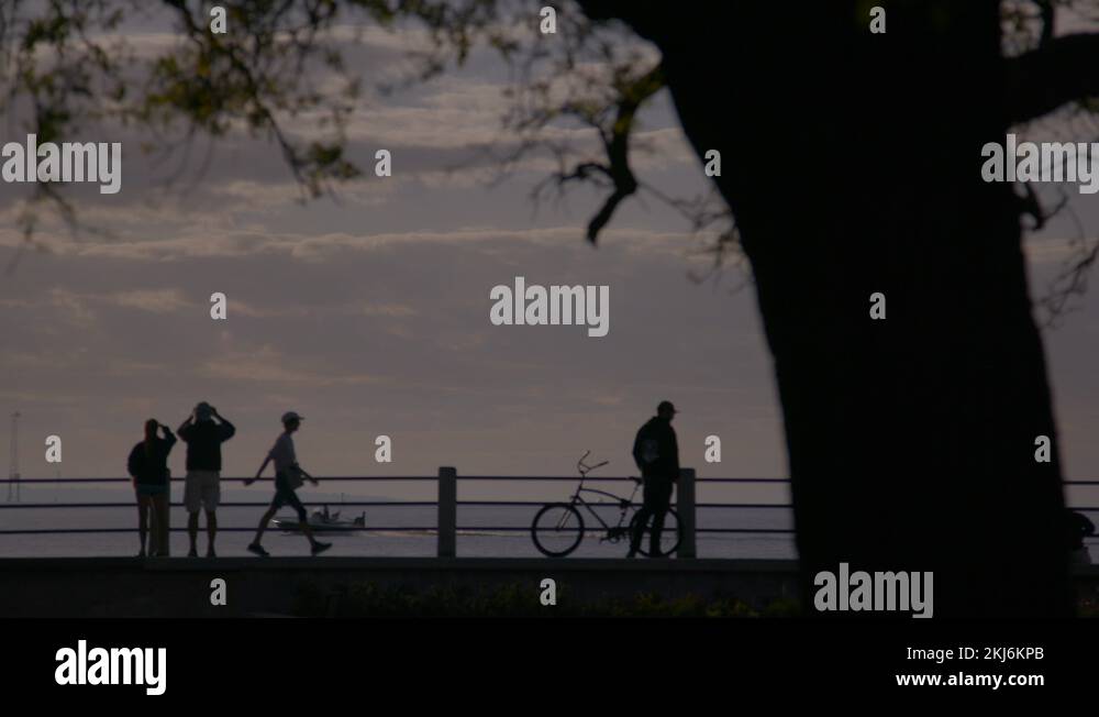 Outdoor activity Stock Videos & Footage - HD and 4K Video Clips - Alamy
