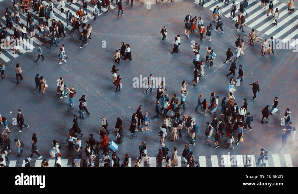 Crosswalk top view Stock Videos & Footage - HD and 4K Video Clips - Alamy