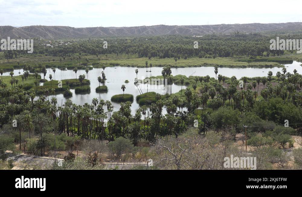 LOS CABOS MEXICO-2017: Open Area With Greenery And Trees With A Water ...