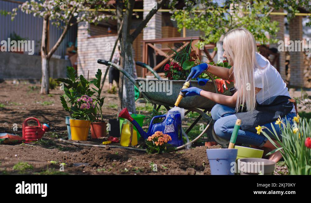 beautiful woman and charismatic man in the garden have a planting day ...