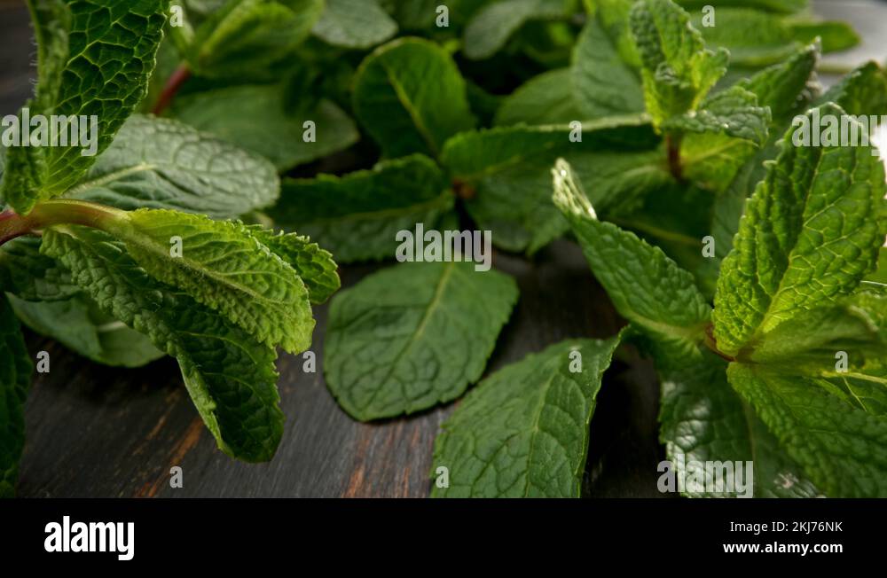 Green mint colour Stock Videos & Footage - HD and 4K Video Clips - Alamy