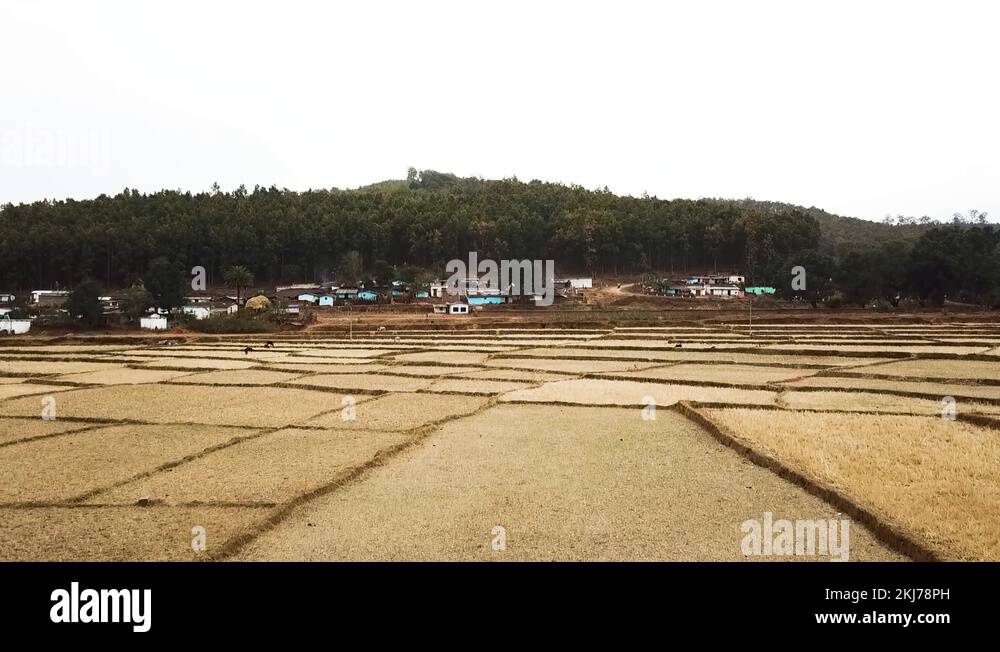 Rocket ranch Stock Videos & Footage - HD and 4K Video Clips - Alamy