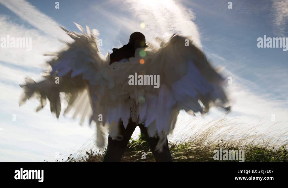 Bird and man Stock Videos & Footage - HD and 4K Video Clips - Alamy