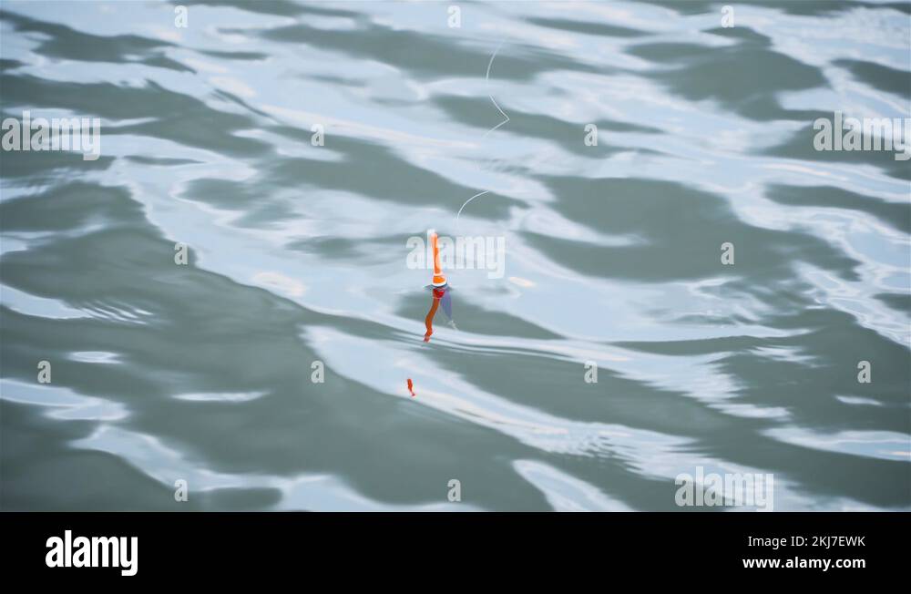 Float in river Stock Videos & Footage - HD and 4K Video Clips - Alamy