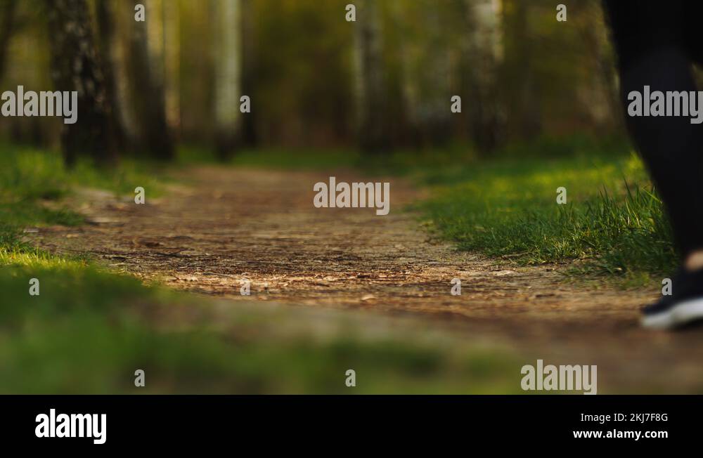 Running female legs in sneakers in the forest close up. Woman running ...