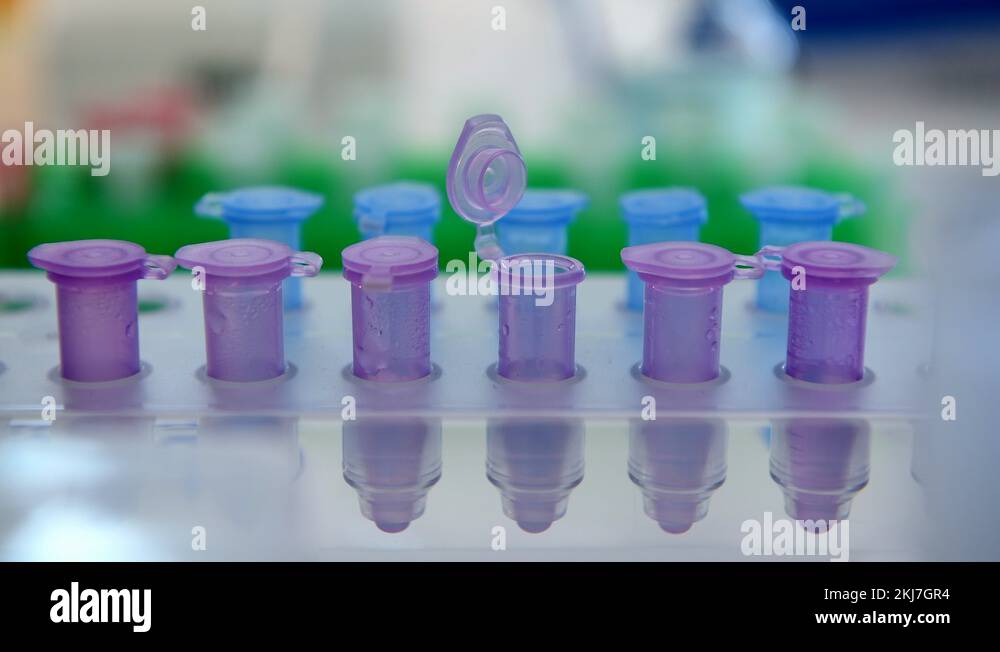 Scientist pipetting a sample into a vial ready for analytical testing ...