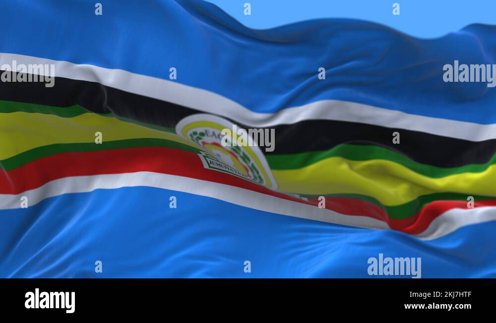 4k East African Community flag,EAC cloth texture seamless loop ...