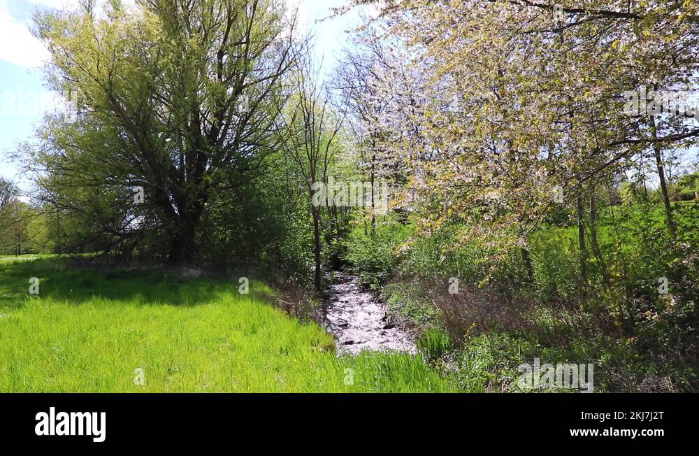 Falling and blooming leaves Stock Videos & Footage - HD and 4K Video ...