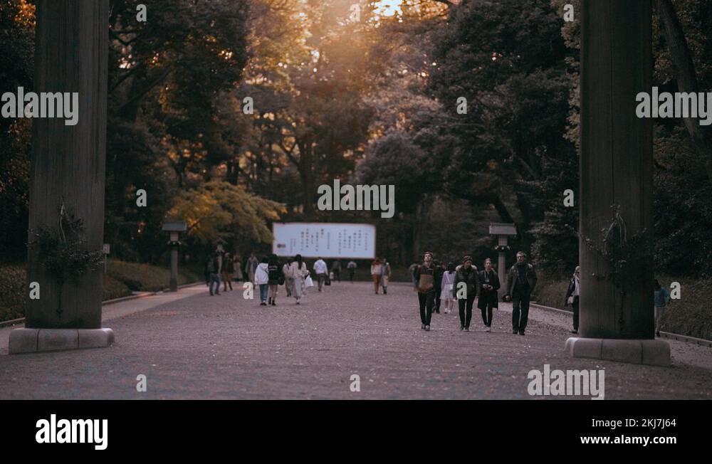 People walking on path between trees in Meiji Jingu Shrine Yoyogi park ...
