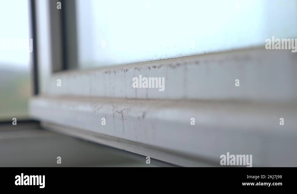 Weathered window frame Stock Videos & Footage - HD and 4K Video Clips ...
