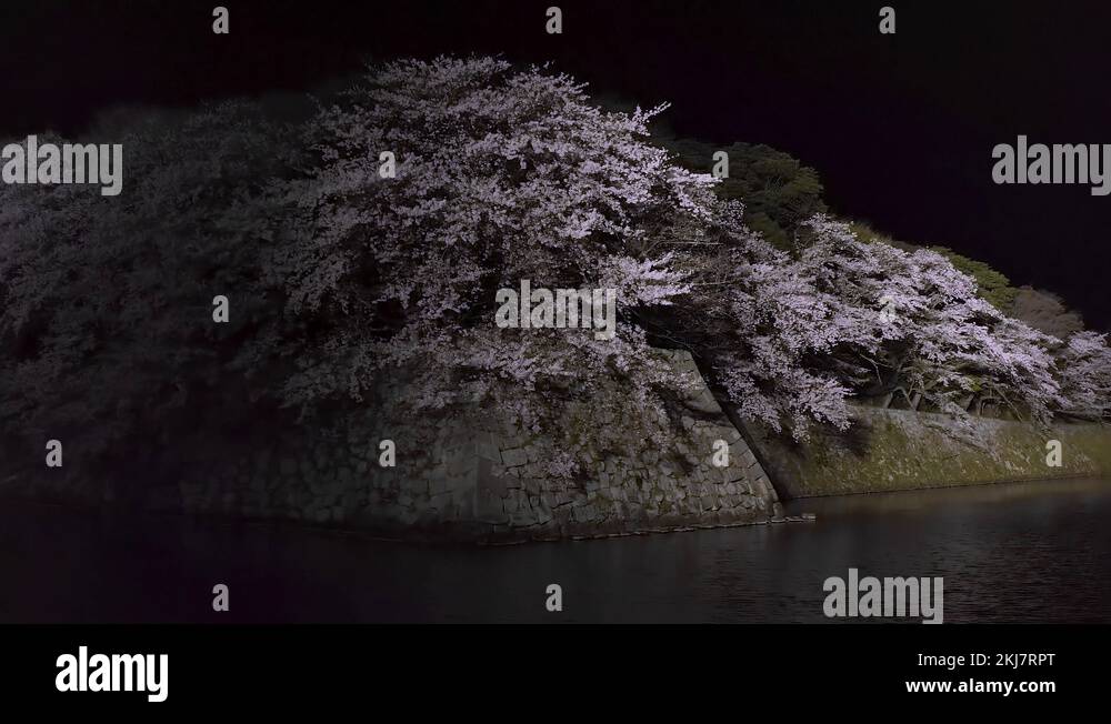 Hikone japan castle moat Stock Videos & Footage - HD and 4K Video Clips ...