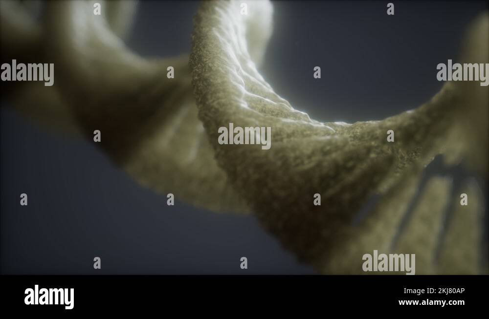 loopable structure of the DNA double helix animation Stock Video ...