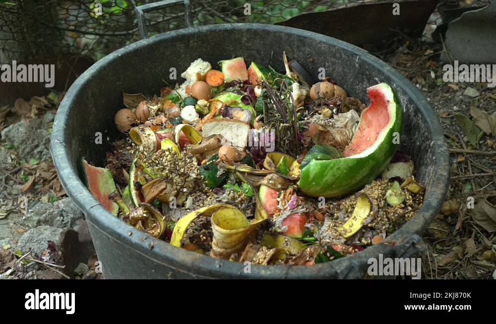 Expired food waste Stock Videos & Footage - HD and 4K Video Clips - Alamy
