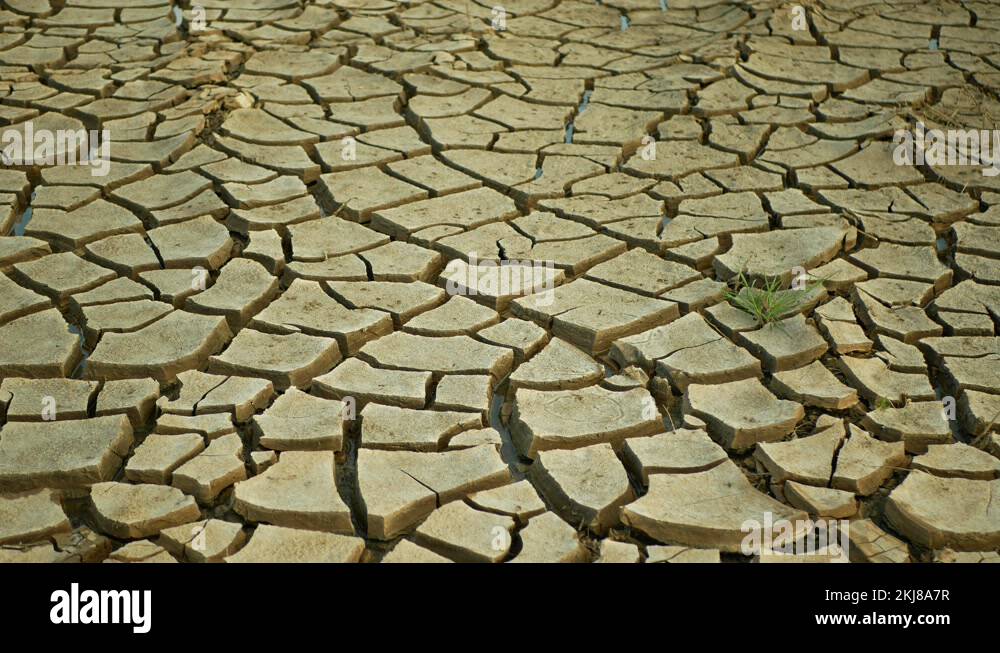 Drought cracked pond wetland, swamp very drying up the soil crust earth ...