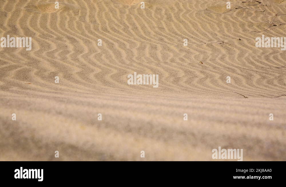 Desert sand texture Stock Videos & Footage - HD and 4K Video Clips - Alamy