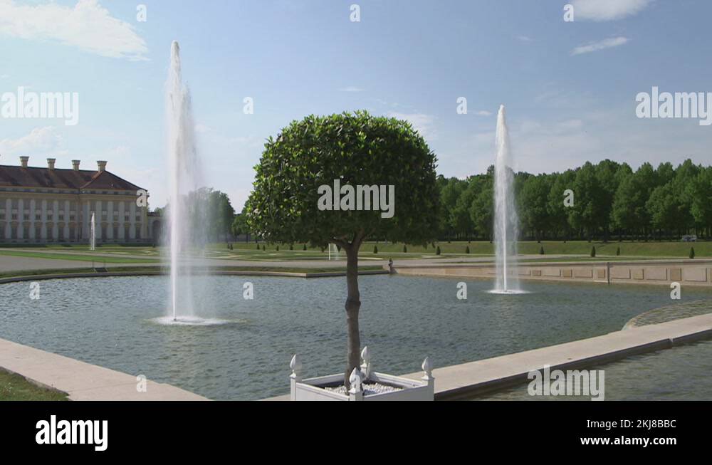 Beautiful little tree Stock Videos & Footage - HD and 4K Video Clips ...