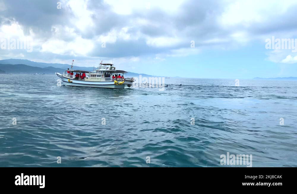 Dolphin following boat Stock Videos & Footage - HD and 4K Video Clips ...