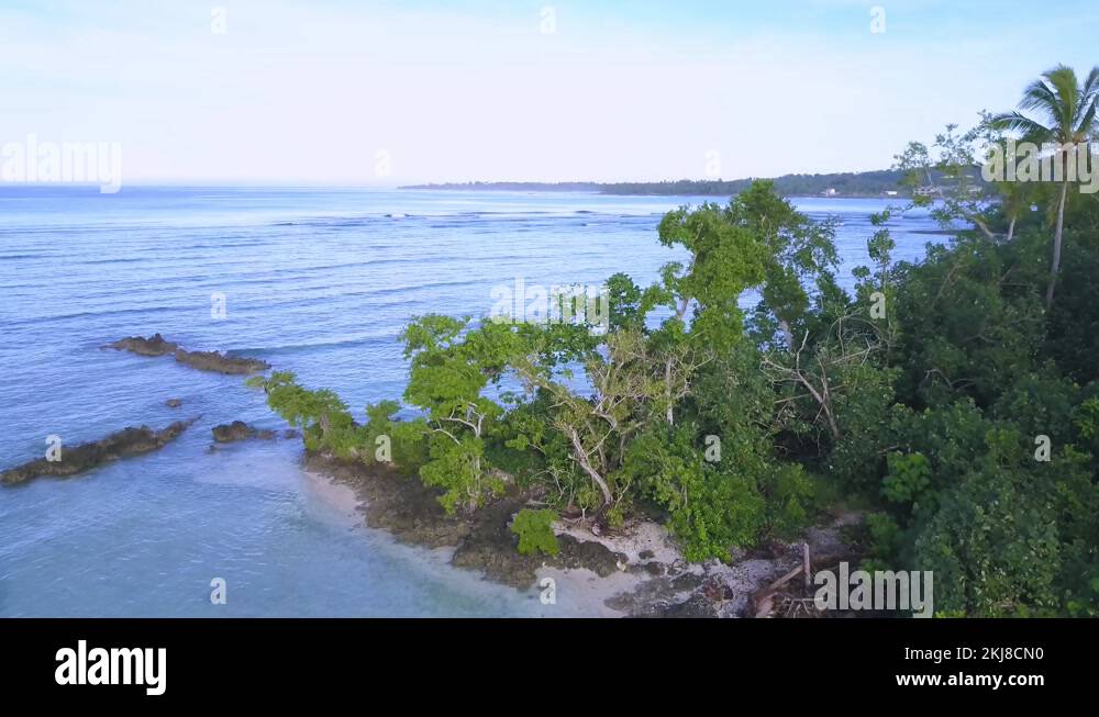 Reef and rainforest Stock Videos & Footage - HD and 4K Video Clips - Alamy