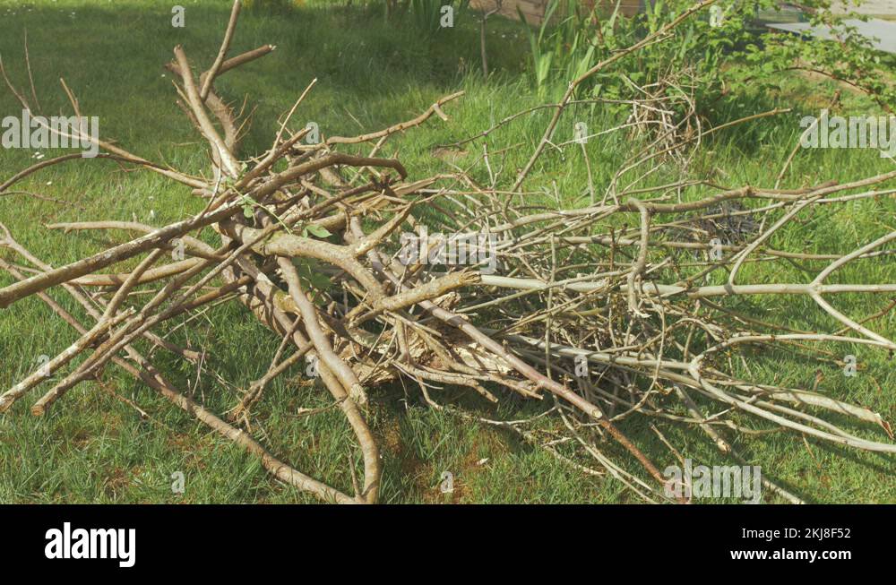 Pile of sticks garden Stock Videos & Footage - HD and 4K Video Clips ...