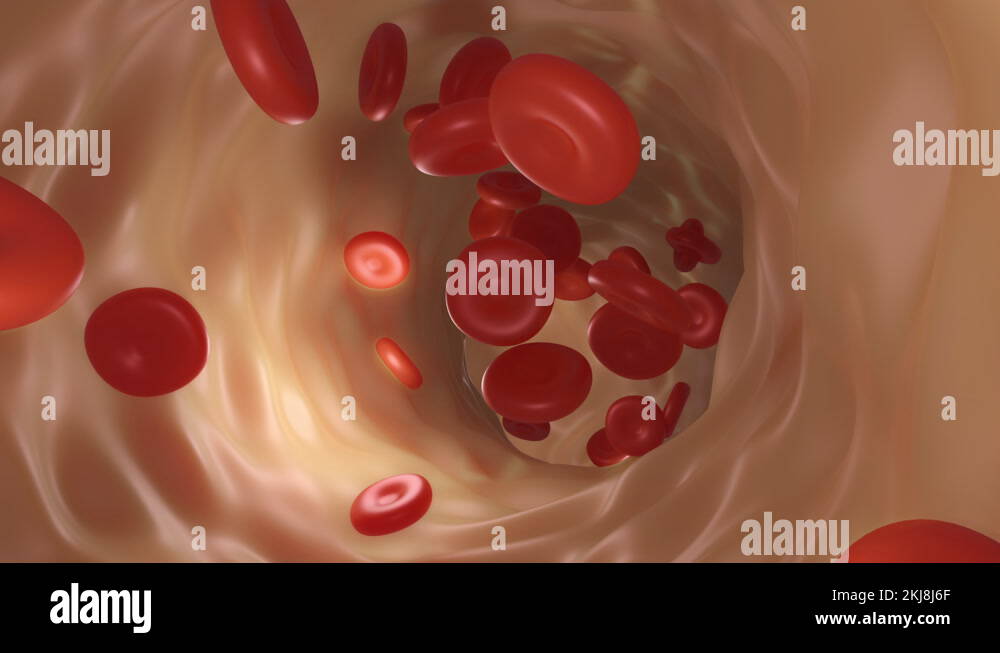 Haemoglobin illustration Stock Videos & Footage - HD and 4K Video Clips ...
