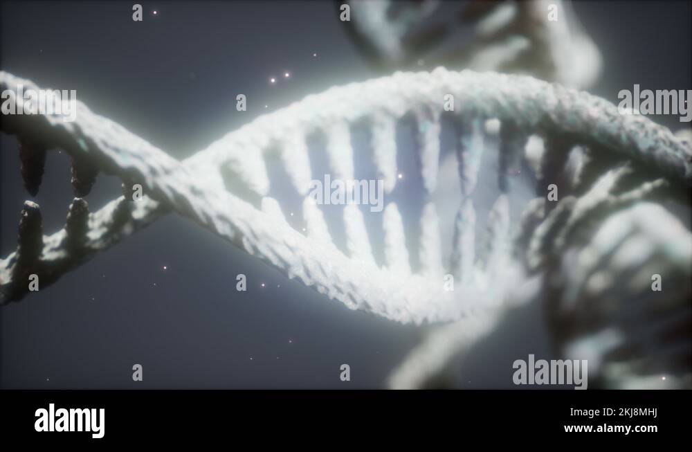 Structure Of The Dna Double Helix Animation Stock Video Footage Alamy