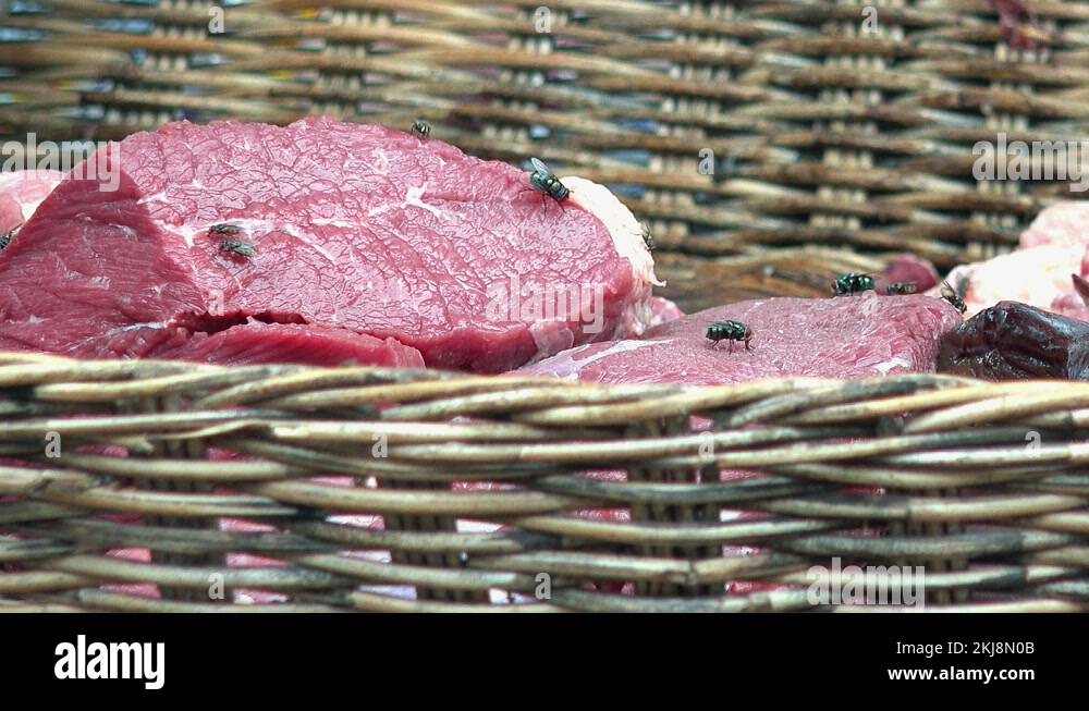Butchers basket Stock Videos & Footage - HD and 4K Video Clips - Alamy