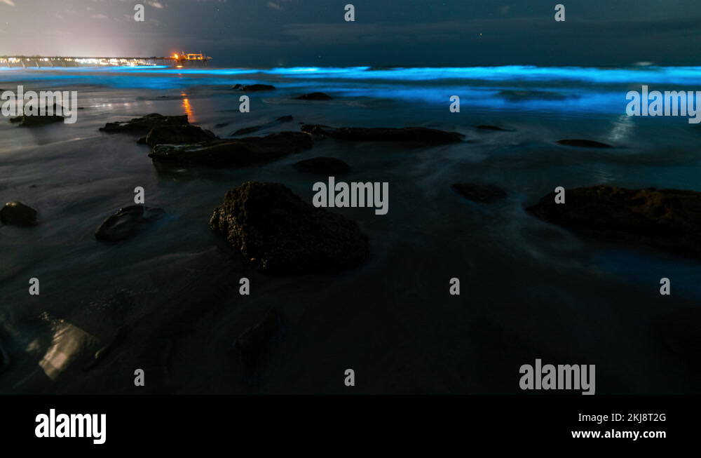 8K Timelapse tracking of Bioluminescent glowing waves in Southern ...