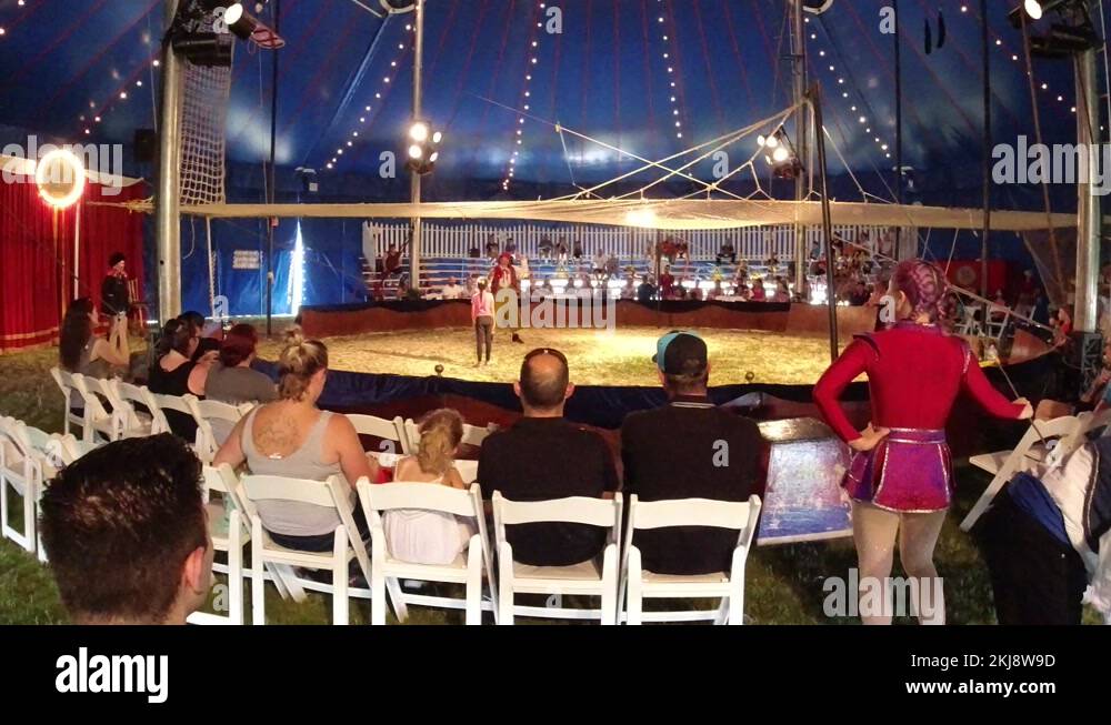 Duo performance Stock Videos & Footage - HD and 4K Video Clips - Alamy