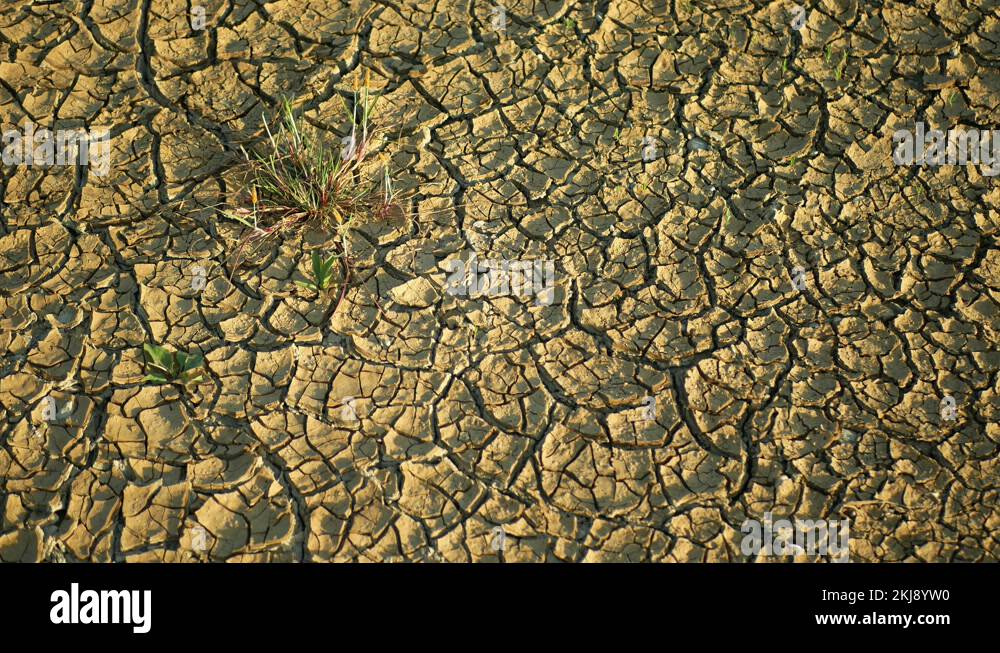 Drought cracked pond wetland, swamp very drying up the soil crust earth ...
