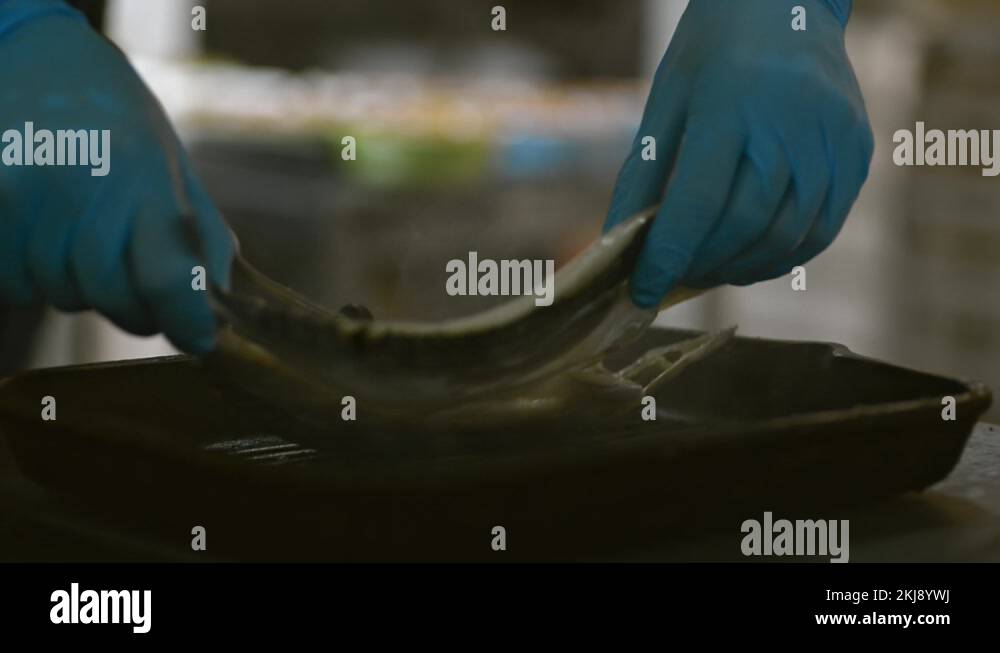 chef smear and pour fish with sauce. lrrl frying pan. fat oil dripping ...