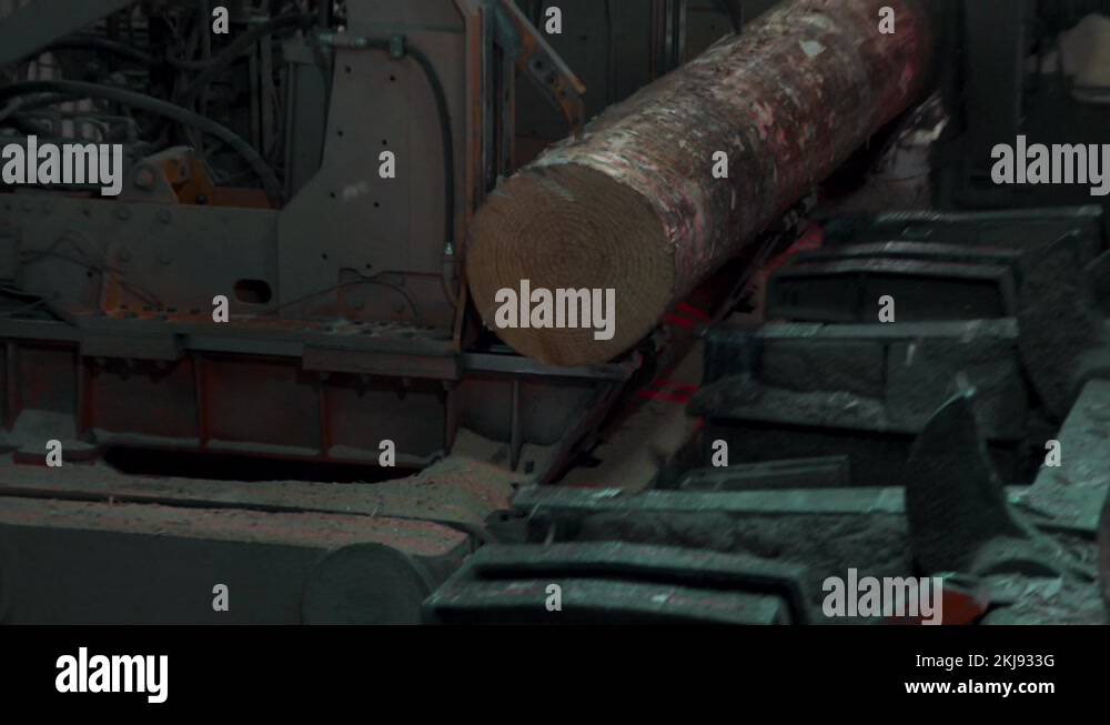 Industrial automated laser conveyor belt glides log towards vertical ...