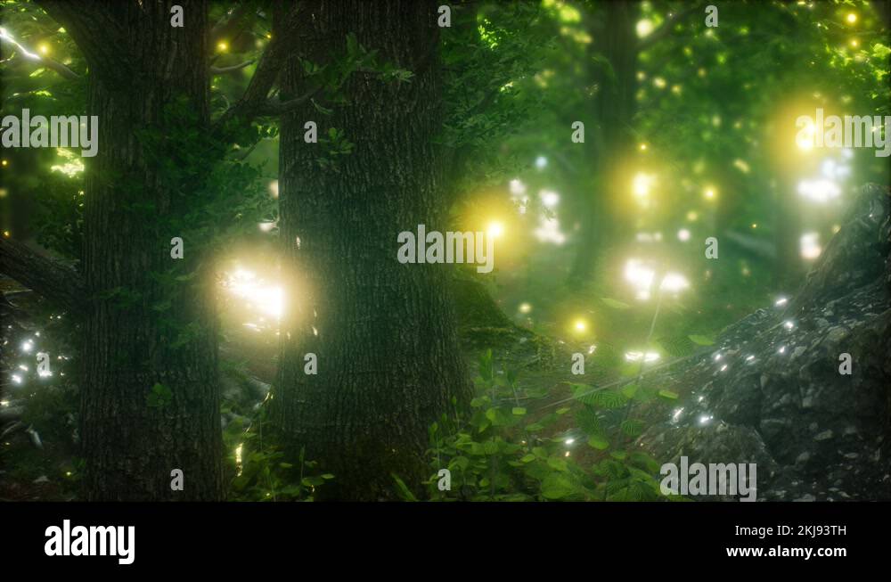 Firefly flying Stock Videos & Footage - HD and 4K Video Clips - Alamy