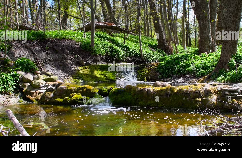 Waterfalls in the spring Stock Videos & Footage - HD and 4K Video Clips ...