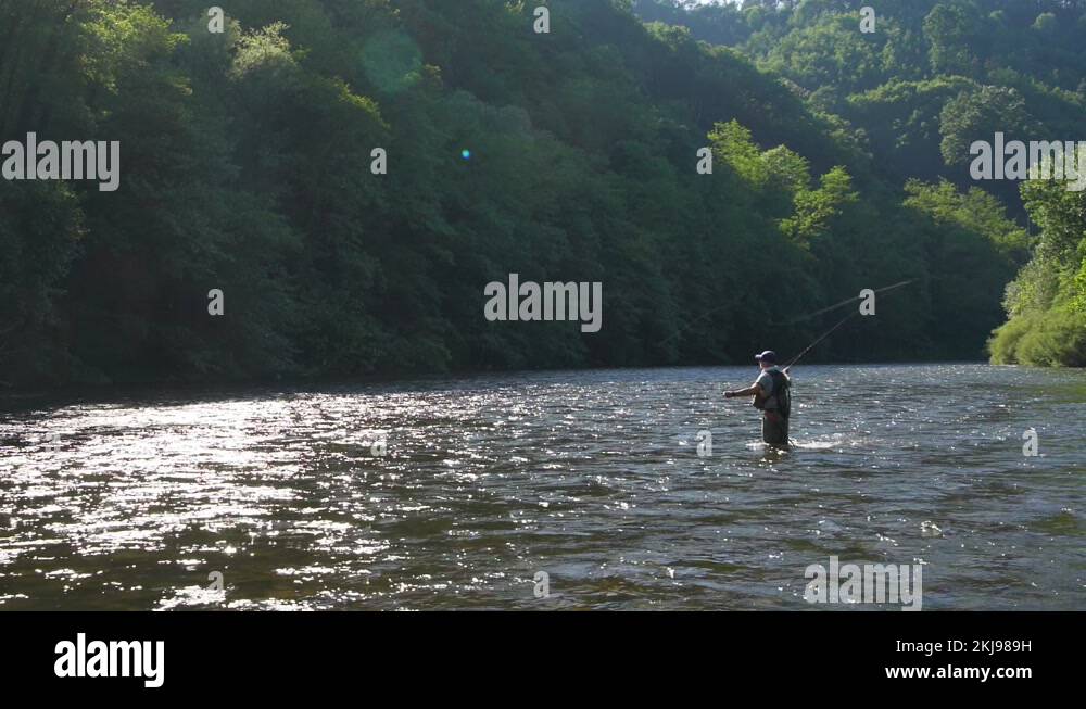 Fly fisherman trout river Stock Videos & Footage - HD and 4K Video ...