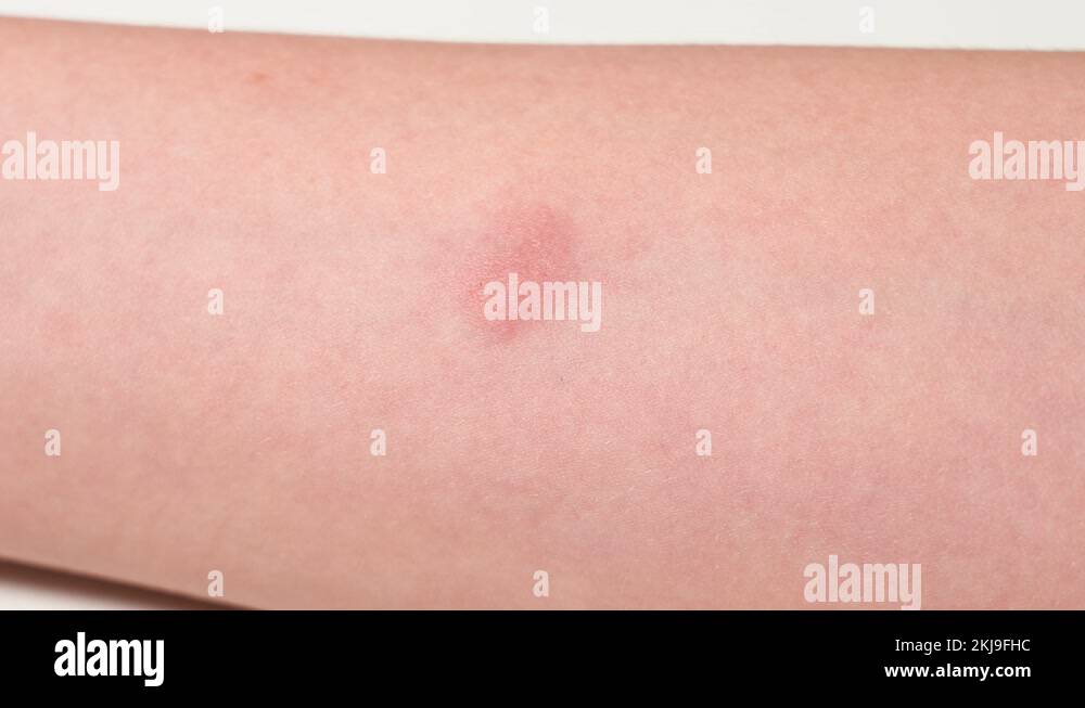 Reaction test ruler Stock Videos & Footage - HD and 4K Video Clips - Alamy