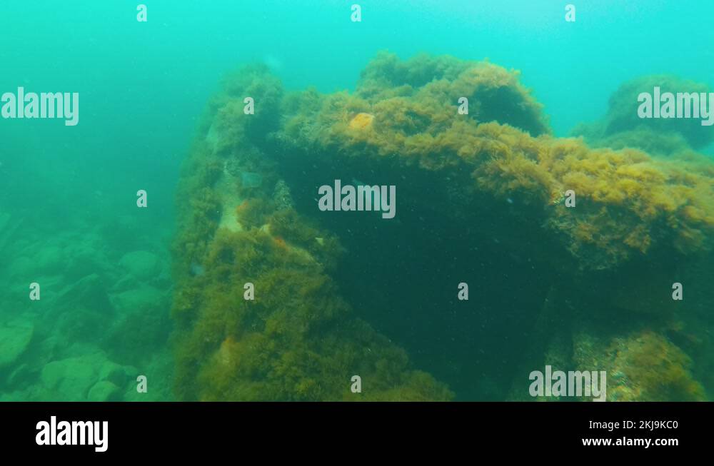 Sunken ship sea Stock Videos & Footage - HD and 4K Video Clips - Alamy