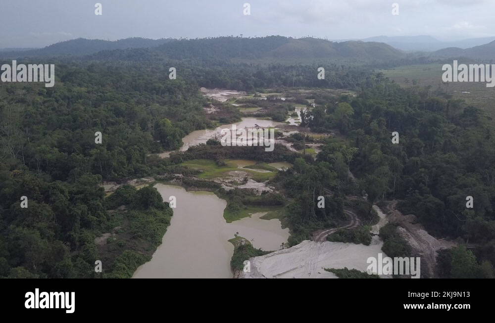 Deforestation aerial view of the Amazon rainforest caused by gold ...